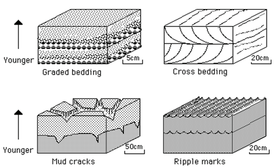 Struktur Batuan Sedimen - Berbagi Ilmu Kebumian