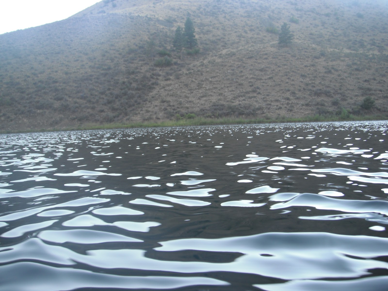 Where I have Fished: Davis Lake, WA