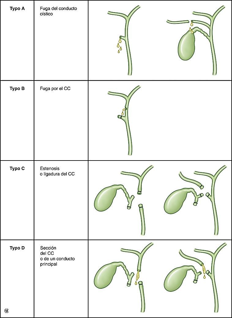 DR. JUAN HERNÁNDEZ ORDUÑA. : Diagnóstico y tratamiento de las lesiones ...