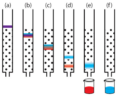 The Understanding of Chromatography