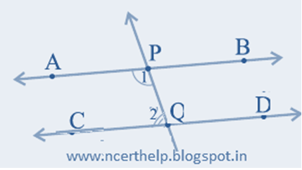 NCERT Solutions, CBSE Sample Papers and Syllabus for Class 9 to 12 ...