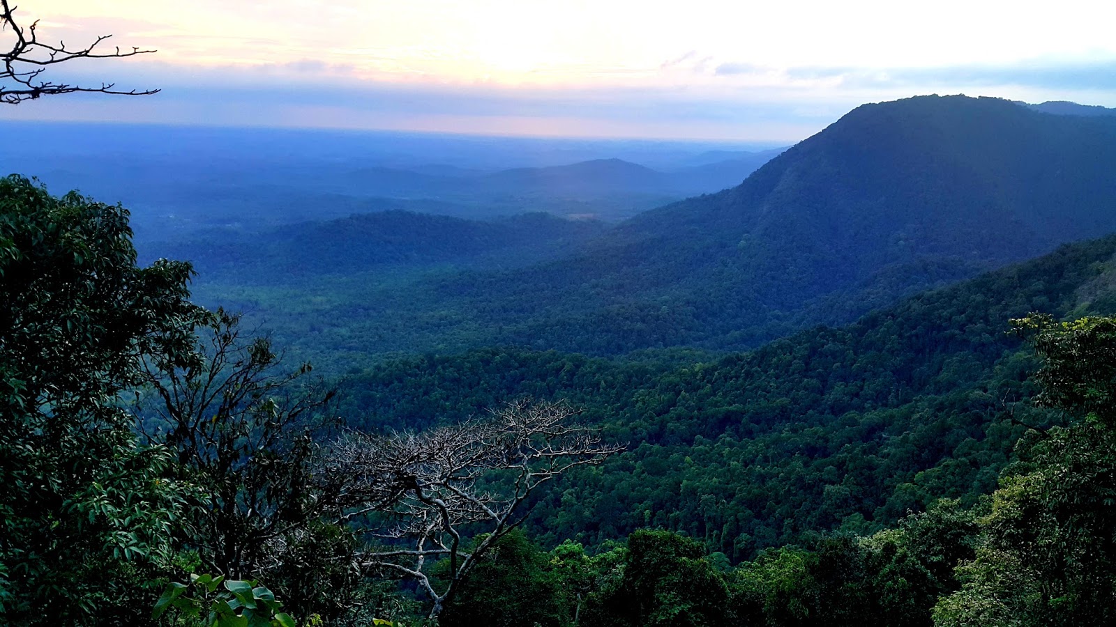 Agumbe: a monsoon date with the rain-forests - Bangalore Trekking Club®