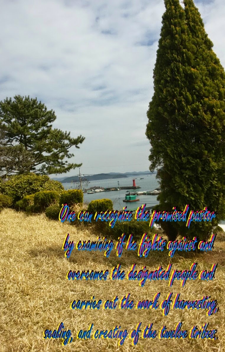 Shincheonji, Eternal Gospel: Shinchonji 12 tribes