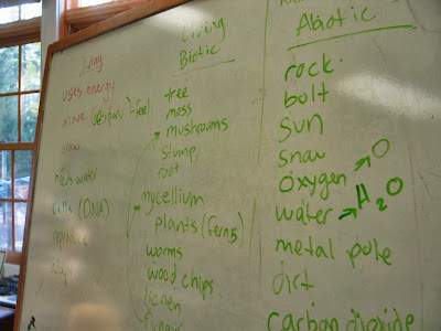 Learning in Place: Abiotic and Biotic Scavenger Hunt with Anna