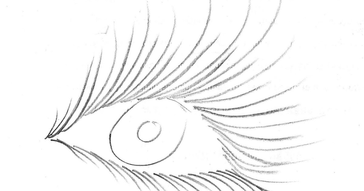 Lineas y Trazos Finos