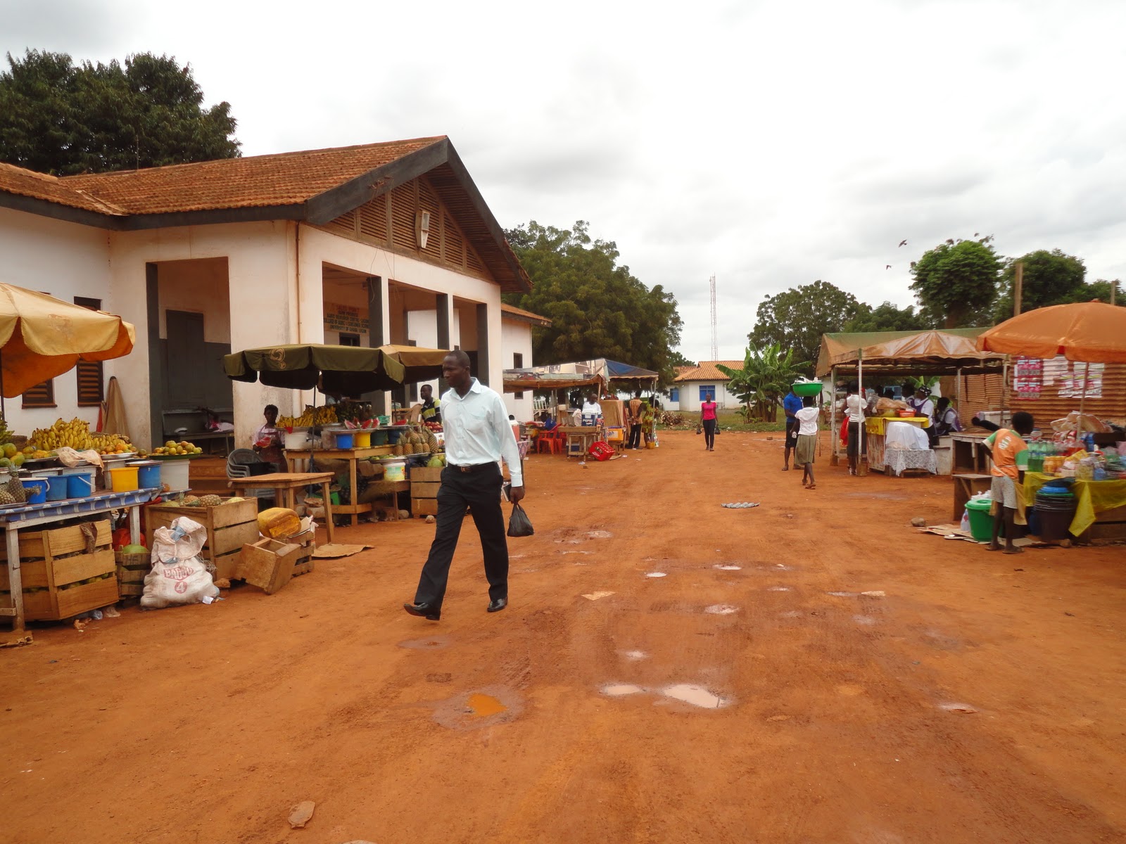 Emily's Ghanaian Adventure: Yiri Lodge