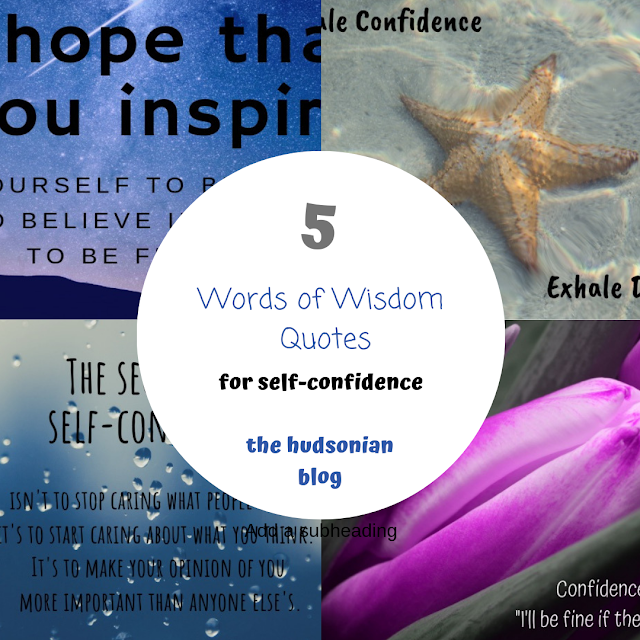 the hudsonian blog: WoW 1