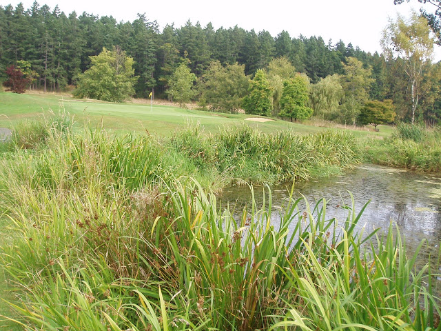 The Importance of Buffer Strips along Golf Course Waterways - TURFHUGGER