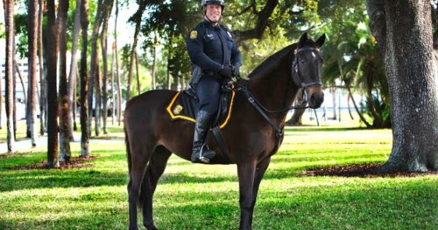 Tampa Police : Mounted Patrol Horse Needs Your Help