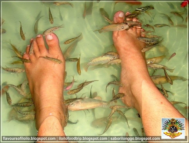 Tibiao Fish Spa: The sensation that's tickling the nation!