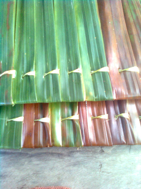 Tafakkur pada Ciptaan Allah Subhanahu Wa Ta'ala: Atap dari daun Sagu