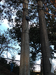 Despite conflicting signals from Globe, PLDT and Globe agree to resolve ...