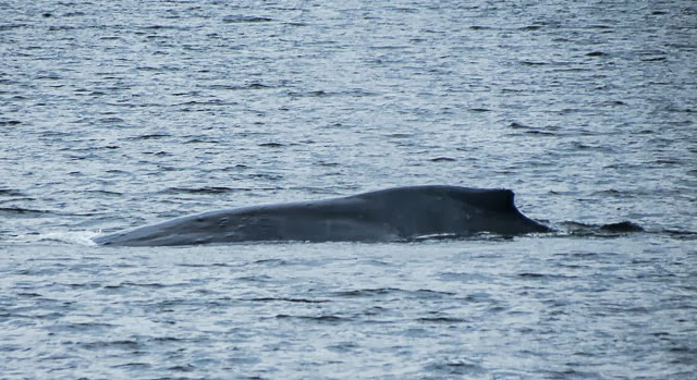 OnTheMove-Cruise News: Smith Inlet, Part 1