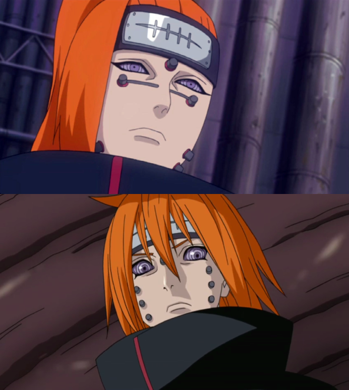 Camino Animal | Naruto Latino