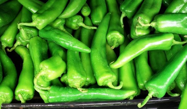 Blossom Mommy: Kecil Kecil Cili Api ..... Apa Khasiatnya?