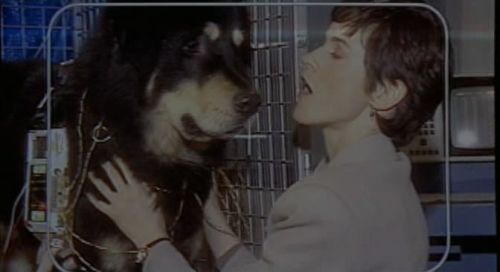 kocham dziwne kino: Man's Best Friend (1993)