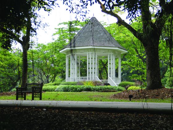 Under The Angsana Tree: Singapore Botanic Gardens declared UNESCO World ...