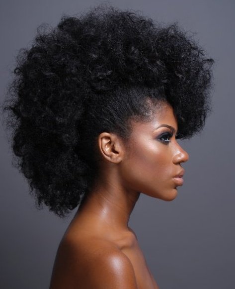 The Reddlipstick Blog: Natural Hair Campaign!