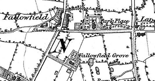 Andrew Simpson: The Fallowfield handloom weavers