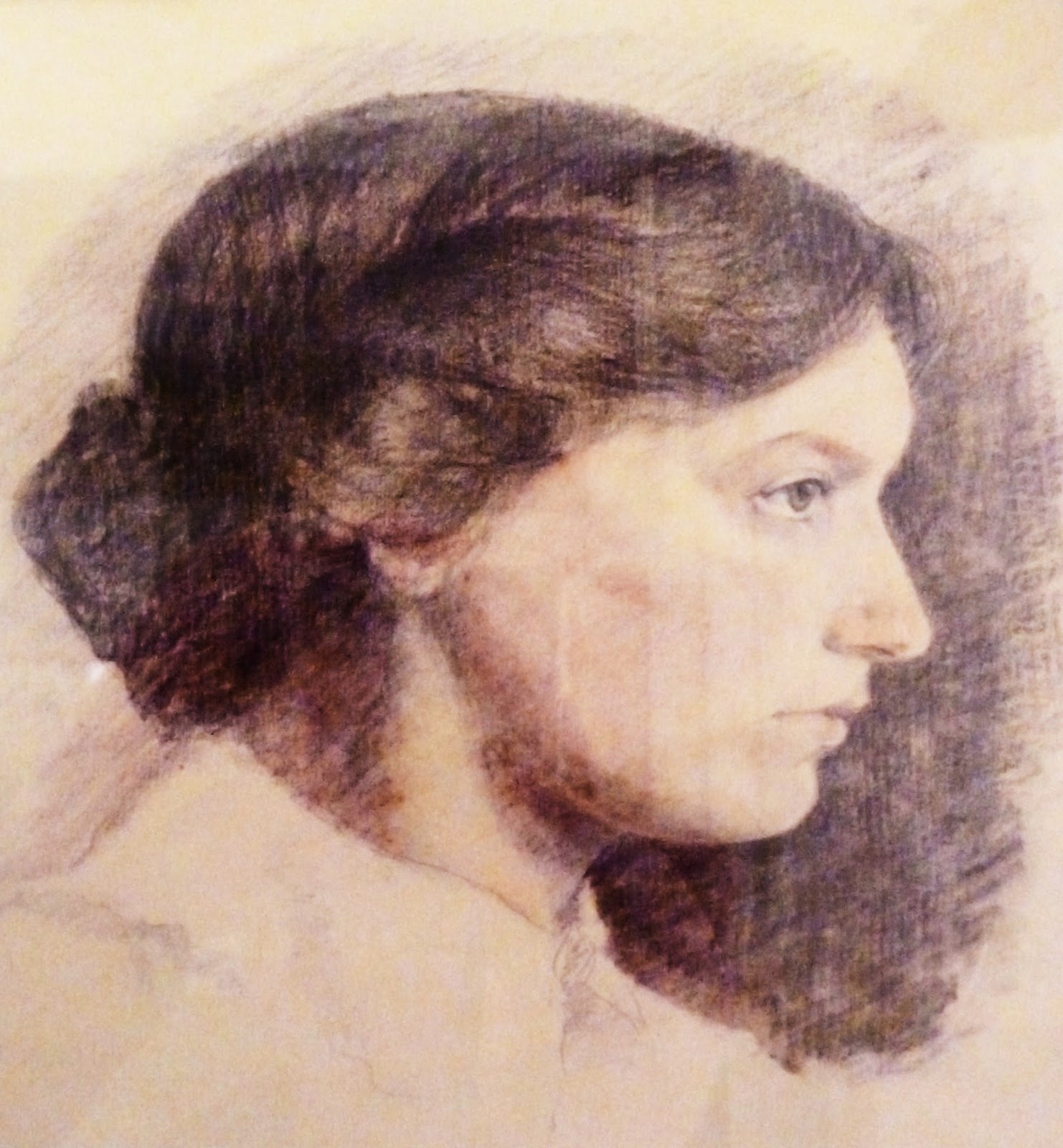 Dr Tony Shaw: Flora Twort in Petersfield, Hampshire: Petersfield Plaques #2