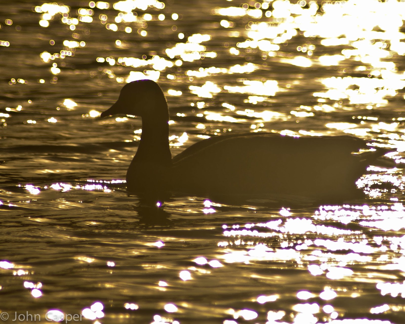 What Is The Subject Matter In Photography - Photography Subjects