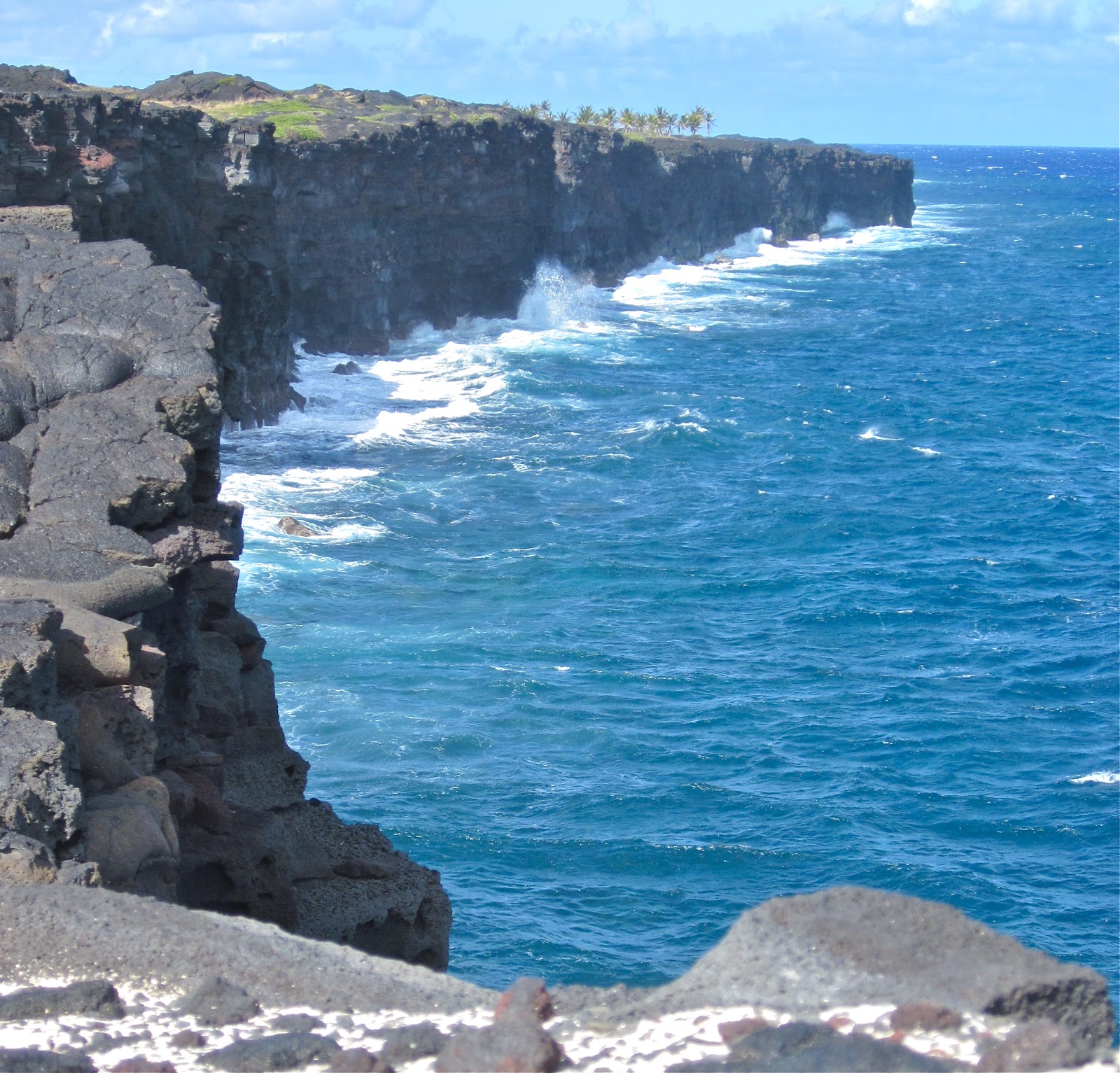 EcoRover: Roving the Big Island (Hawai'i)
