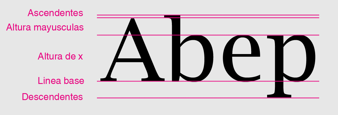 David Criado: Partes de las letras