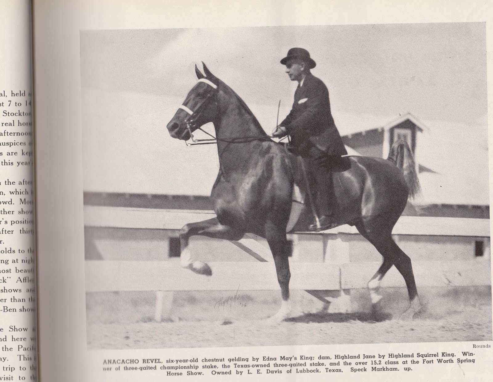 The American Saddlebred: 11/21/2015 Vintage Saddle & Bridle from 1937