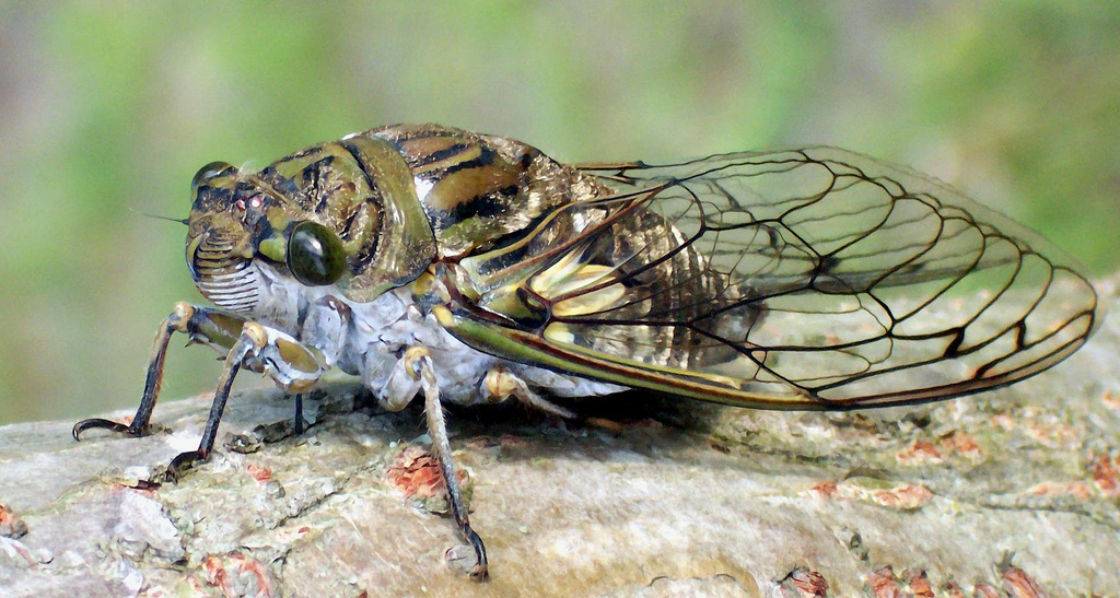 Conecta con la Naturaleza