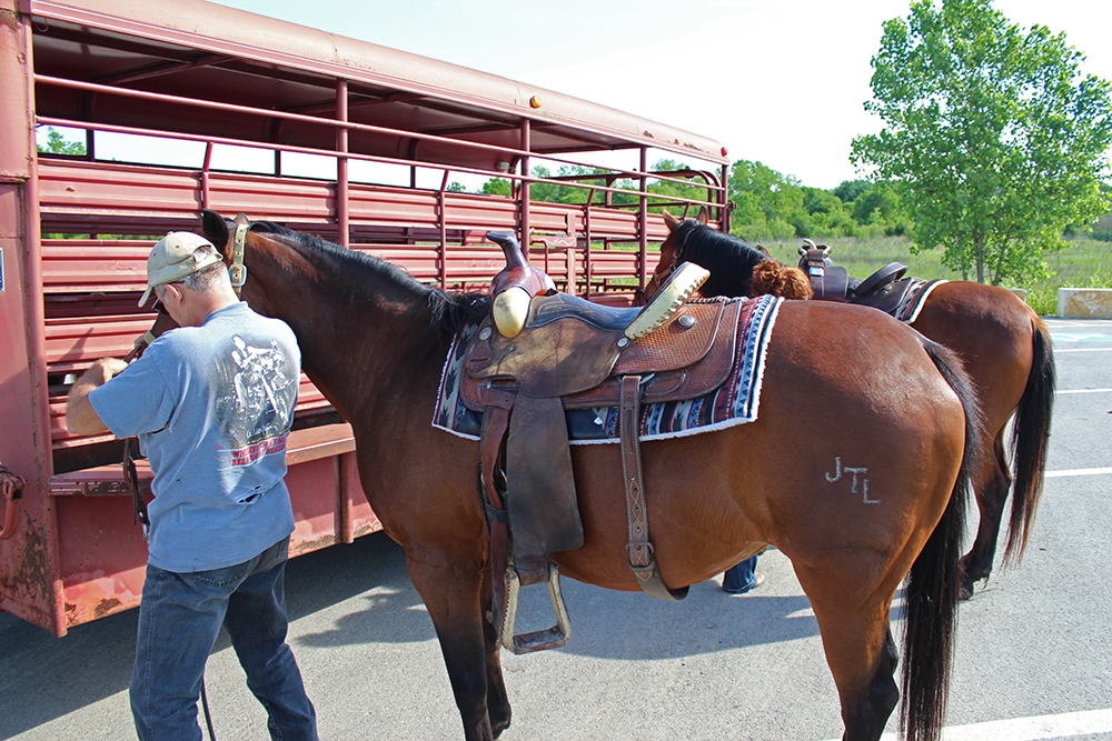 Dallas Trinity Trails: Horseback Riding The Trinity River