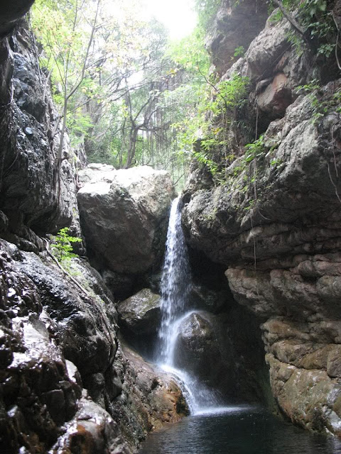 Tamilnadu Tourism: Ubbalamadugu Falls (Tada Falls)