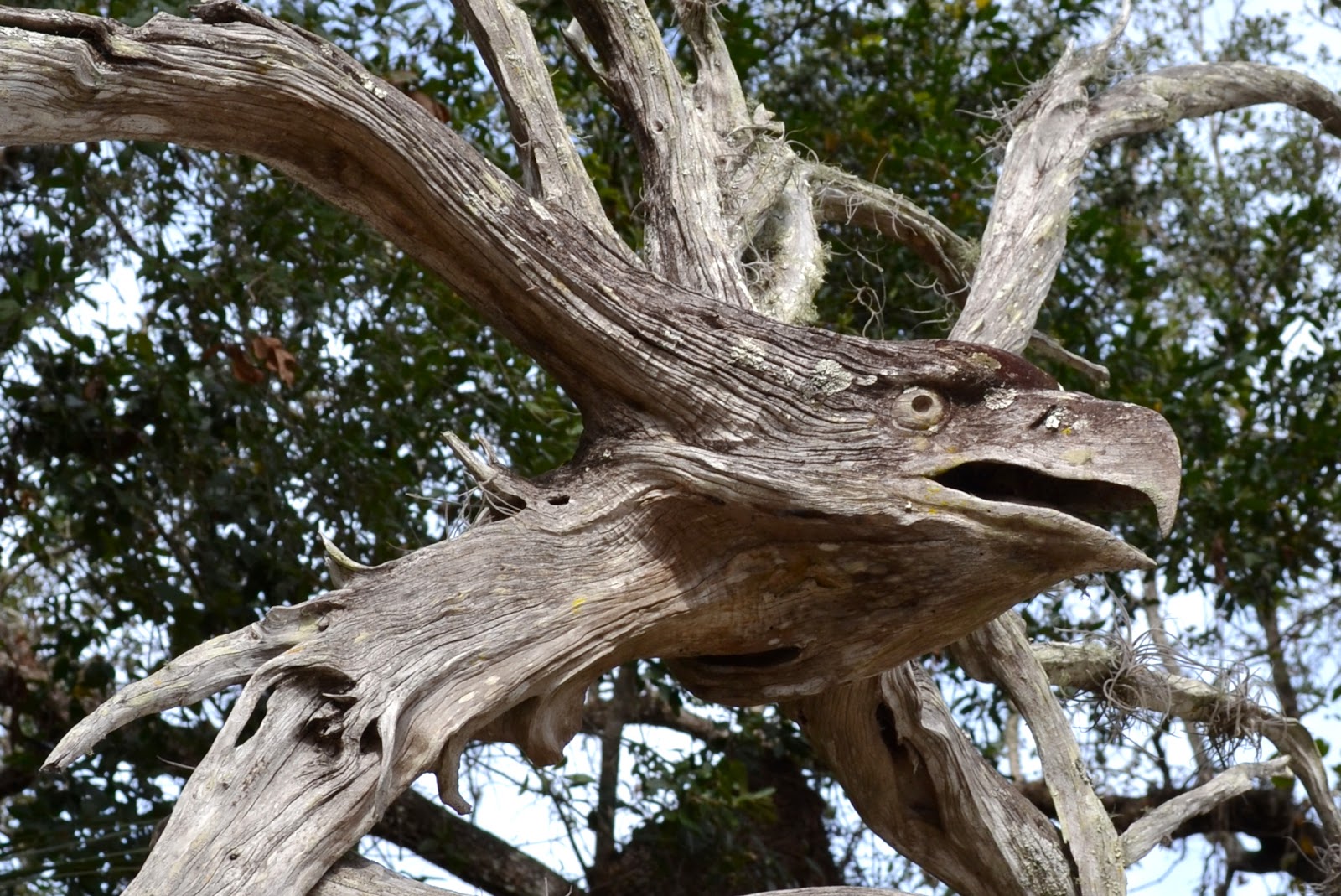 My Paisley World: Amazing Driftwood Sculptures at Baliker Gallery