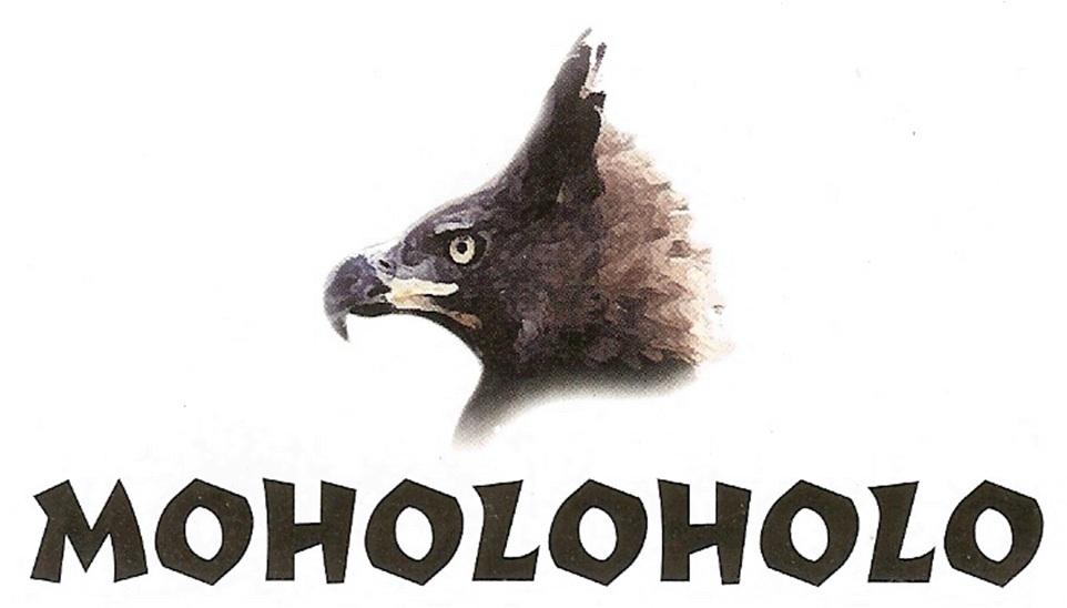 Moholoholo Wildlife Rehabilitation Centre