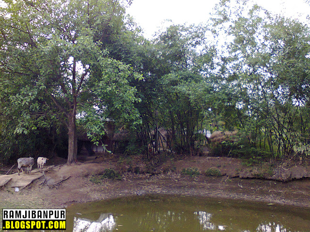 Ramjibanpur Photos Gallery - Ramjibanpur