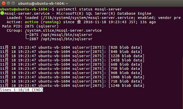 SQL Server その2 - UbuntuにSQL Serverをインストールするには・SQL Serverの初期設定を行う - kledgeb