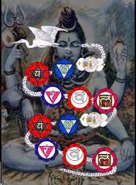 Shree Nath Yog Education and Research Foundation: THE CONCEPT OF urdhvareta