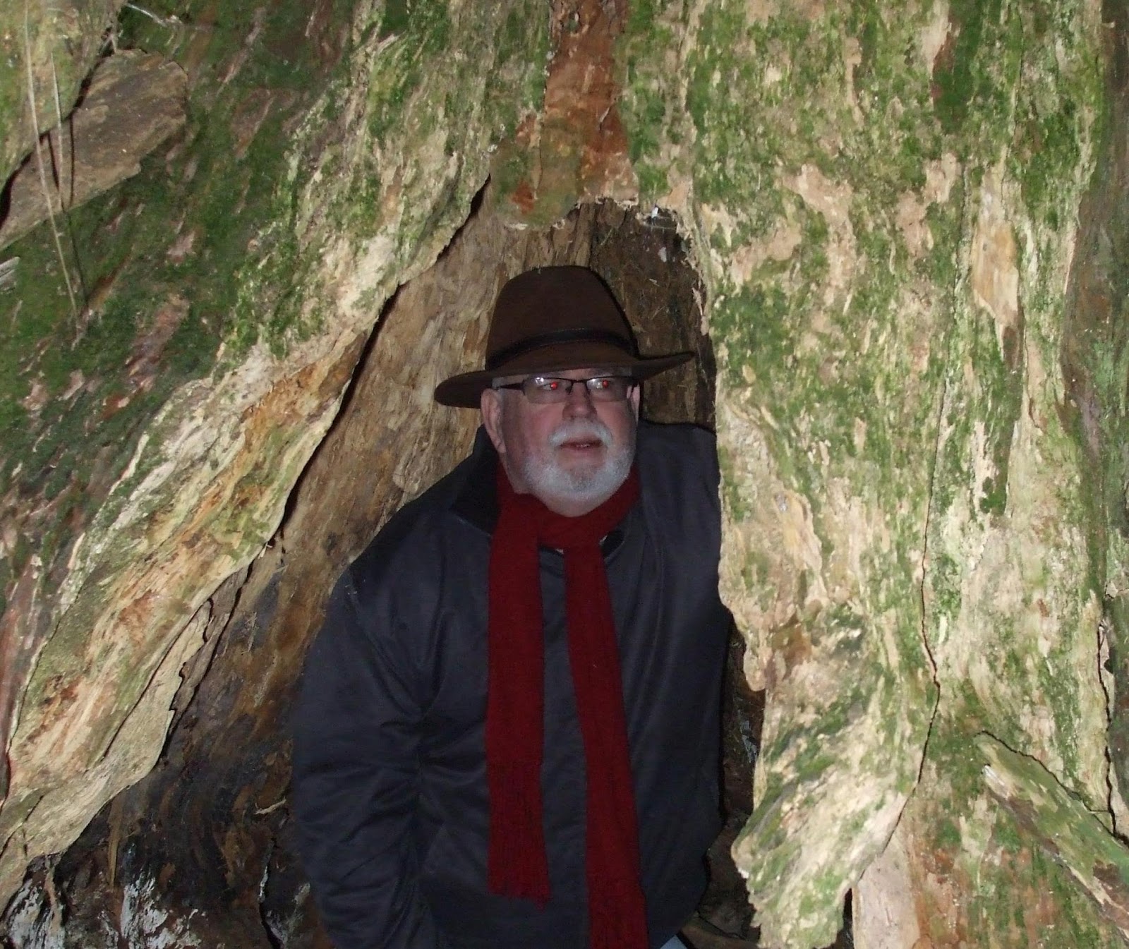 James Fagan History Blog: Tinkers, Swagmen, Rovers or Travellers?