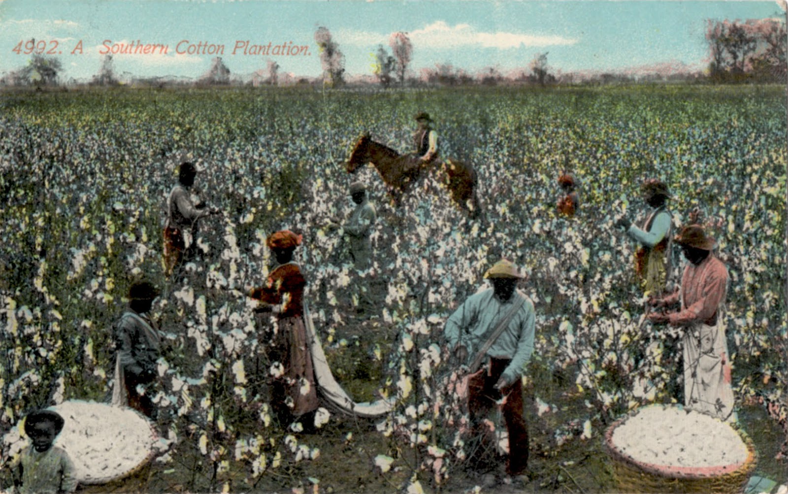 Southern Cotton Plantation