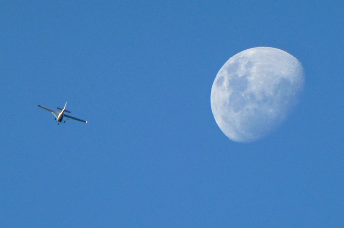 Mengapa Bulan Bisa Terlihat di Langit Siang Hari? - Info Astronomy