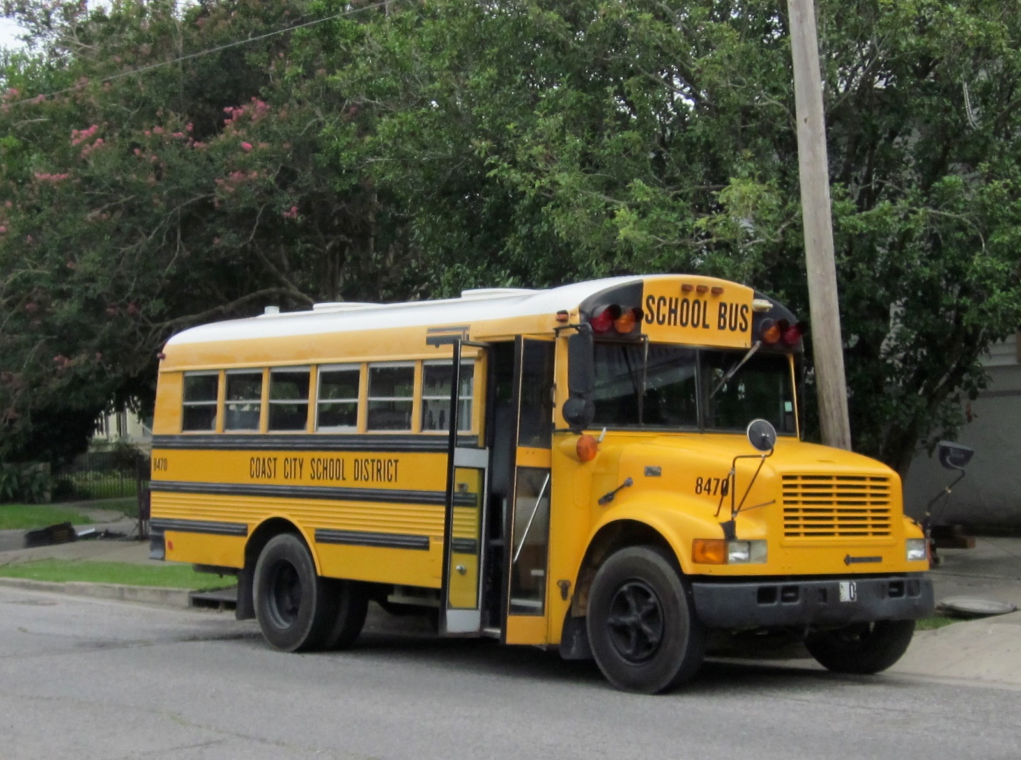 Mrs Rogers Kindergarten Happenings School Bus Safety mrs-rogers-kindergarten-happenings-school-bus-safety
