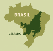 Ciência e o Meio Ambiente: Cerrado: O bioma ameaçado