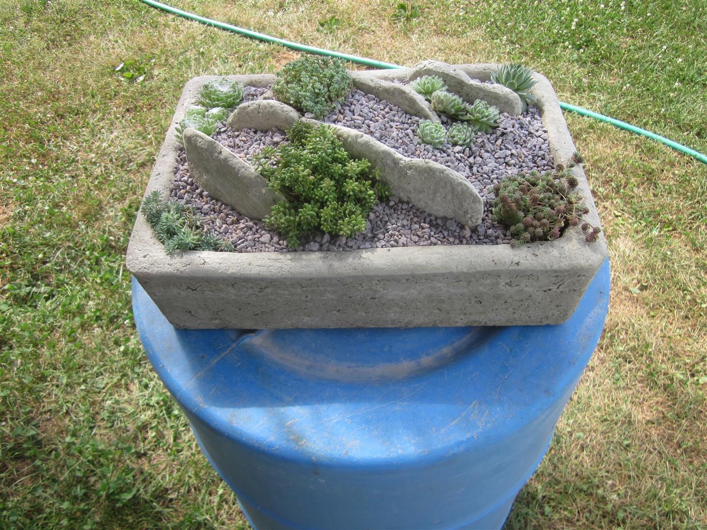The Papercrete Potter: Crevice Gardens in Papercrete Troughs..........