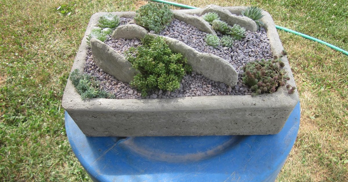 The Papercrete Potter: Crevice Gardens in Papercrete Troughs..........