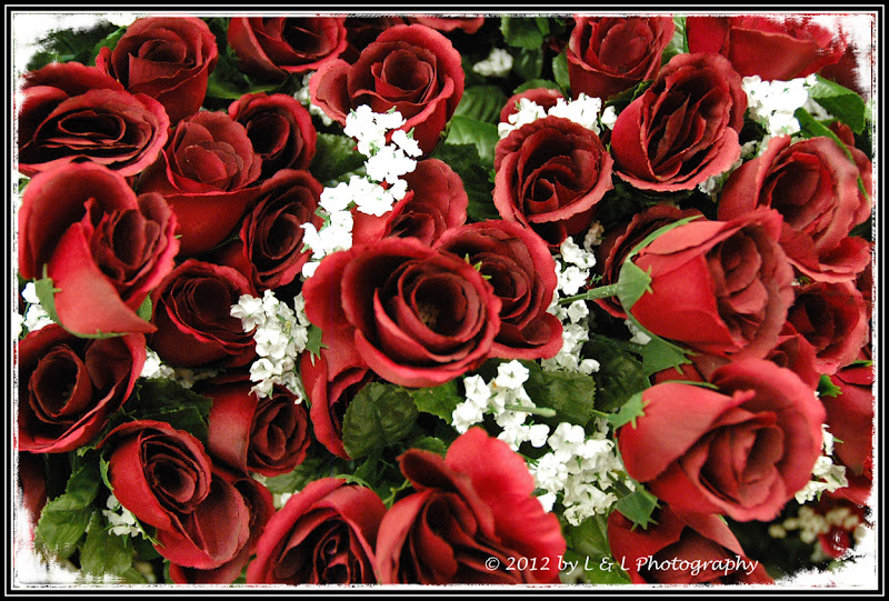 Images - The Art of Photography: Roomful of Roses