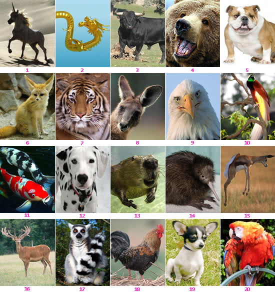 KNOWLEDGE BOOK: List of National Animals of all Countries(सभी देशों के ...