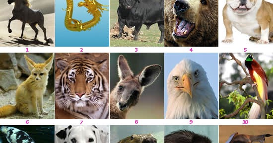 KNOWLEDGE BOOK: List of National Animals of all Countries(सभी देशों के ...