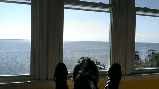 Link: “On Vacation”, the Tuesday Picture Prompt at Flashy Fiction ...