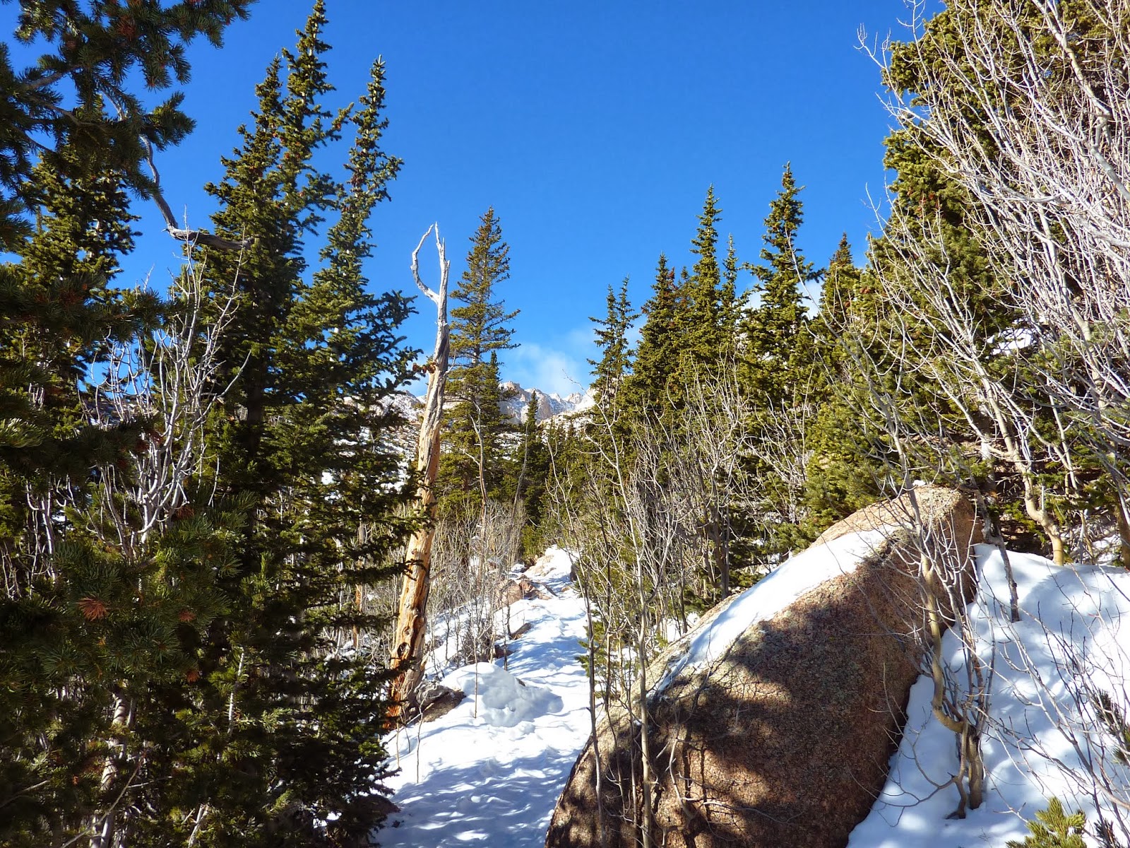 Wilderness Wanderings: Pikes Peak Barr Trail Winter Expedition