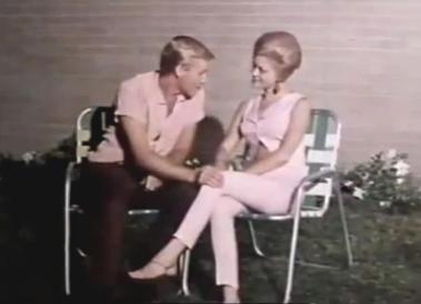 It's Craptacular!: Suburban Roulette