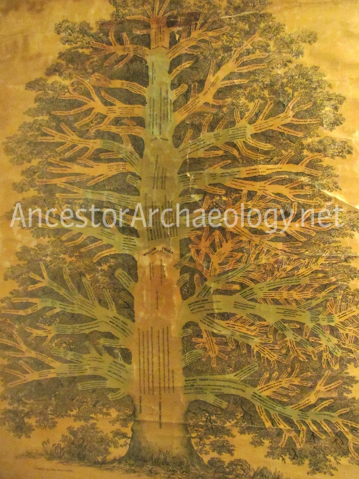 Ancestor Archaeology: Frasers of Fife: Documenting the Family Tree